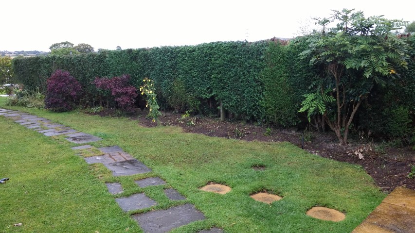 Hedge Reduction - AA Tree Surgeons
